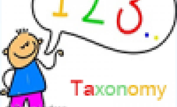 How To Taxonomy Term Count Using Views Douce Infotech Private Limited
